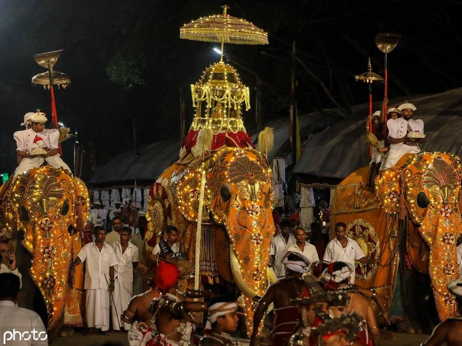 斯里兰卡科伦坡克拉尼亚大佛寺举办宗教游行-搜狐大视野-搜狐新闻