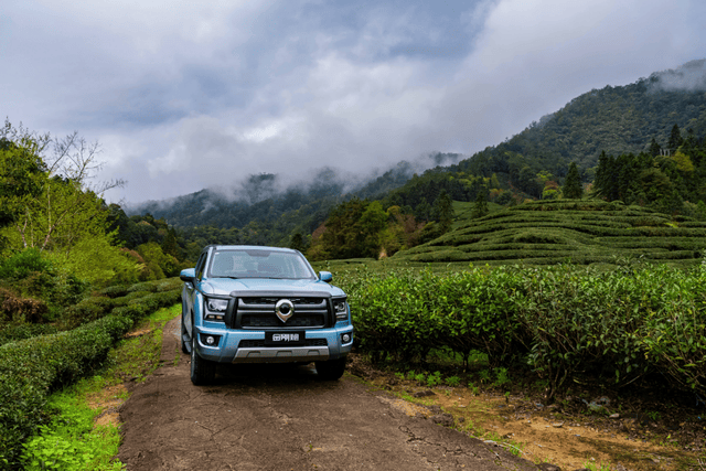 搭载2.0T+8AT黄金动力组合 长城金刚炮8AT上市 售价9.98万元起_搜狐汽车_搜狐网