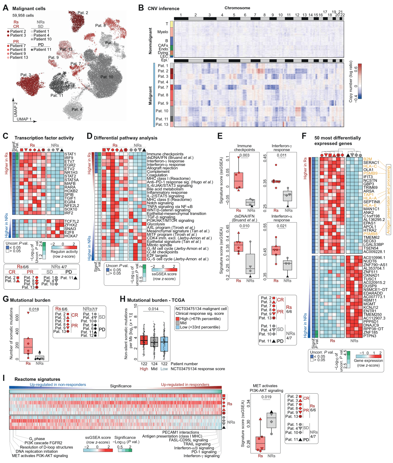 Sci Immunol（IF=24.8）| 单细胞联合多组学揭秘CD8+ T细胞网络如何助力黑色素_研究_患者_肿瘤
