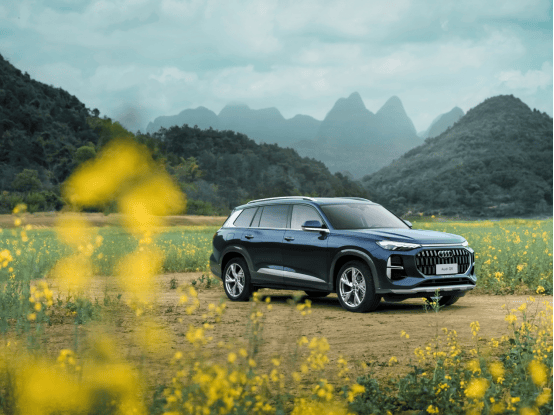 如果一生只能拥有一辆SUV，你会选择哪款？_搜狐汽车_搜狐网