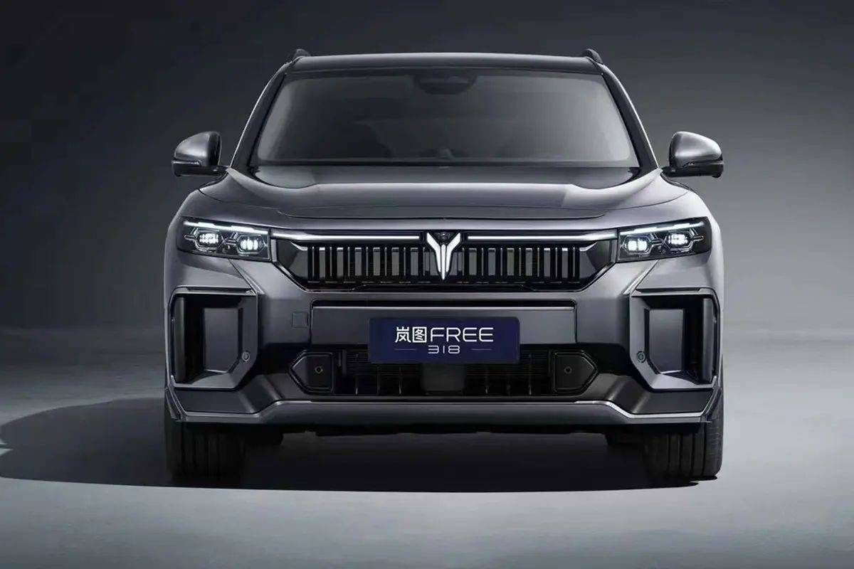 22.89万起，国家队“六边形战士”岚图FREE 318上市_搜狐汽车_搜狐网