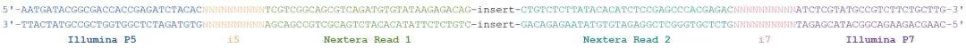 一文搞懂 Illumina 接头序列_Index_文库_Truseq