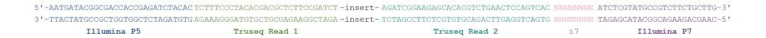 一文搞懂 Illumina 接头序列_Index_文库_Truseq