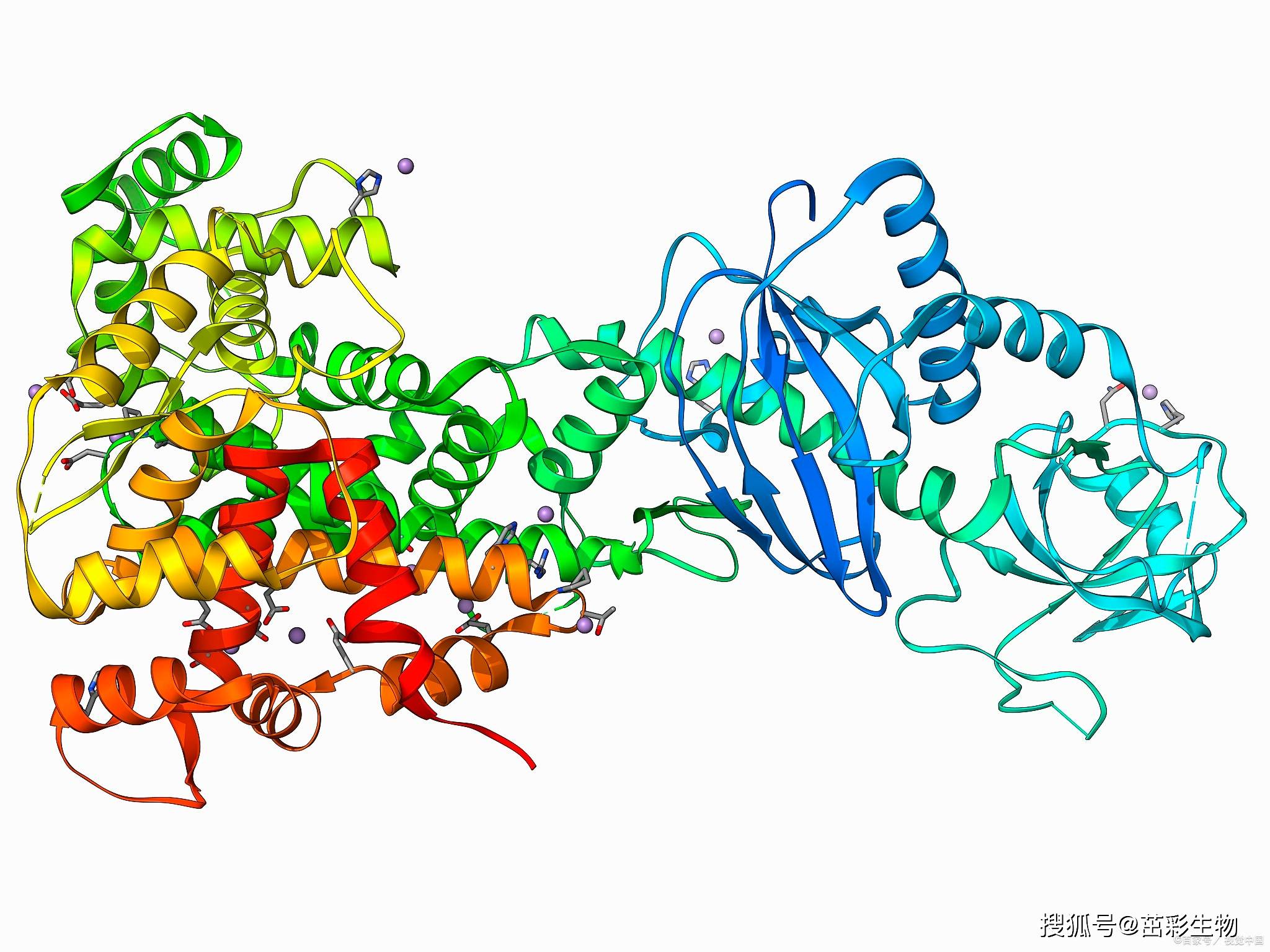 E钙粘着蛋白；上皮性钙黏附蛋白(E-Cad)｜ELISA指标_细胞_microRNAs_调控