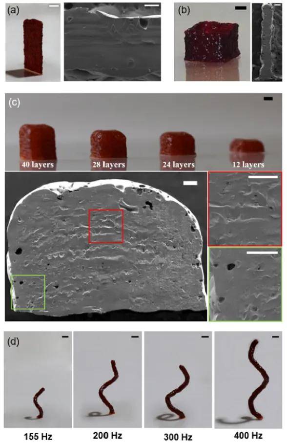 MicroFab 高精度双喷头反应性喷墨（RIJ）3D打印高活性有机硅_mm_比例尺_结构