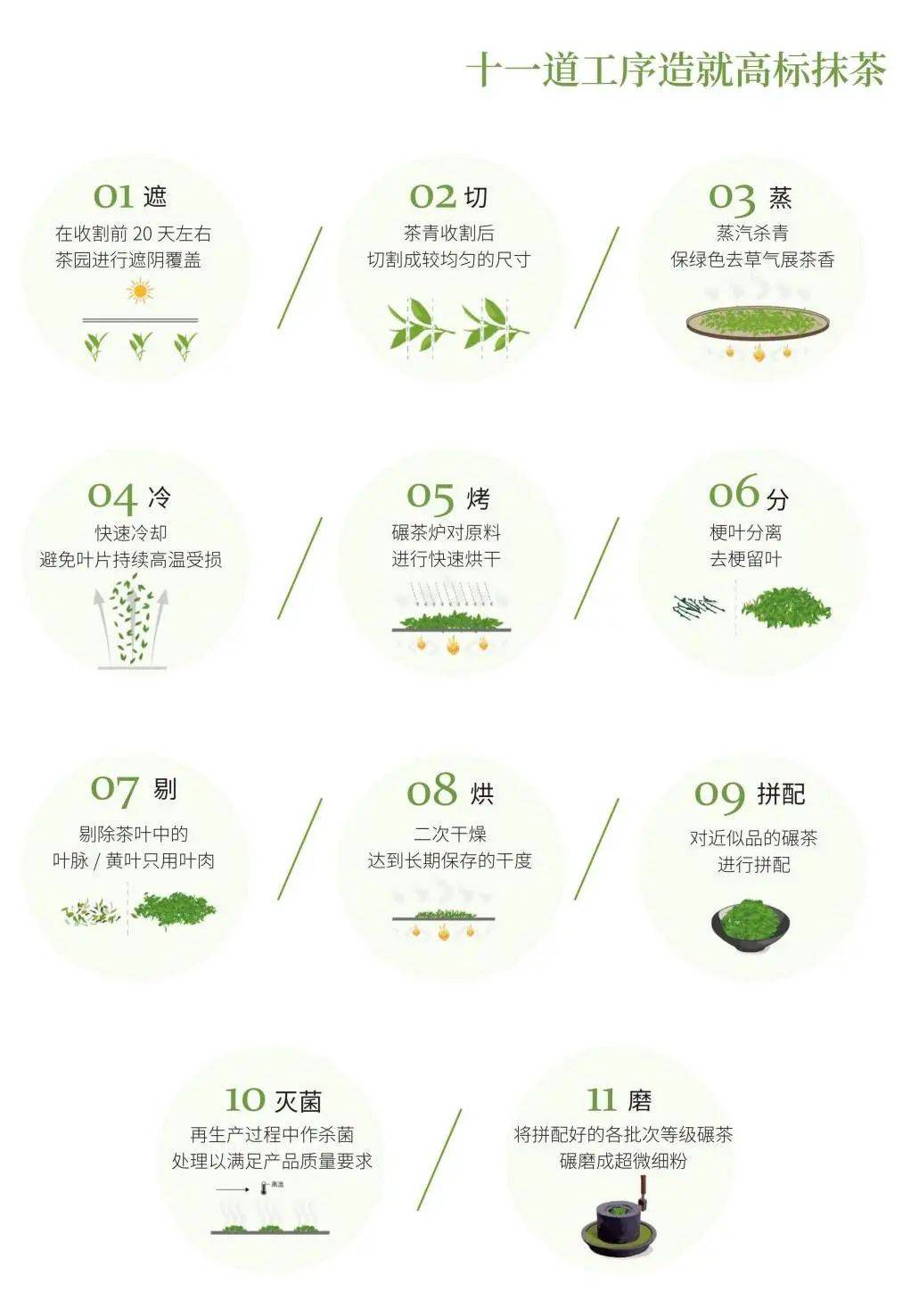 全产业链现代茶企 & 抹茶 | 贵州铜仁贵茶茶业股份有限公司 诚邀您参加 2025 WPE&WHPE 西部天然展 期待您的莅临！