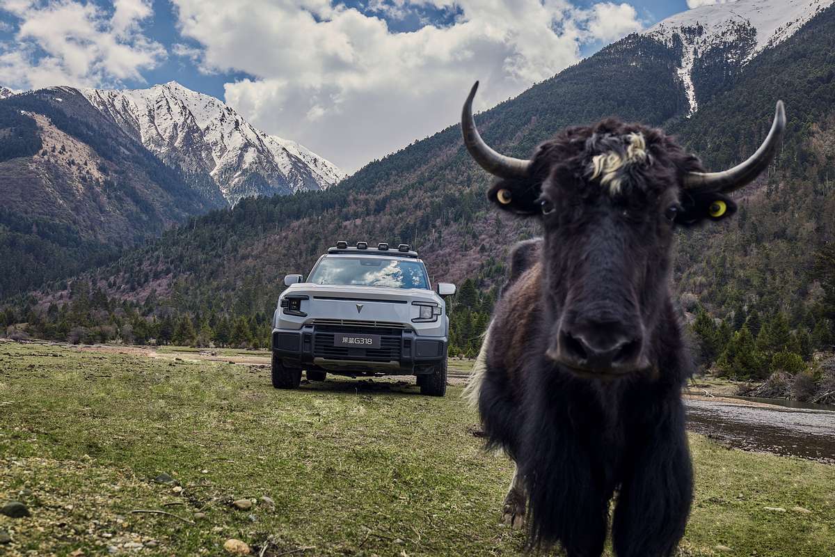 15.59万元起售 深蓝G318集体“破防”现金直降3万_搜狐汽车_搜狐网