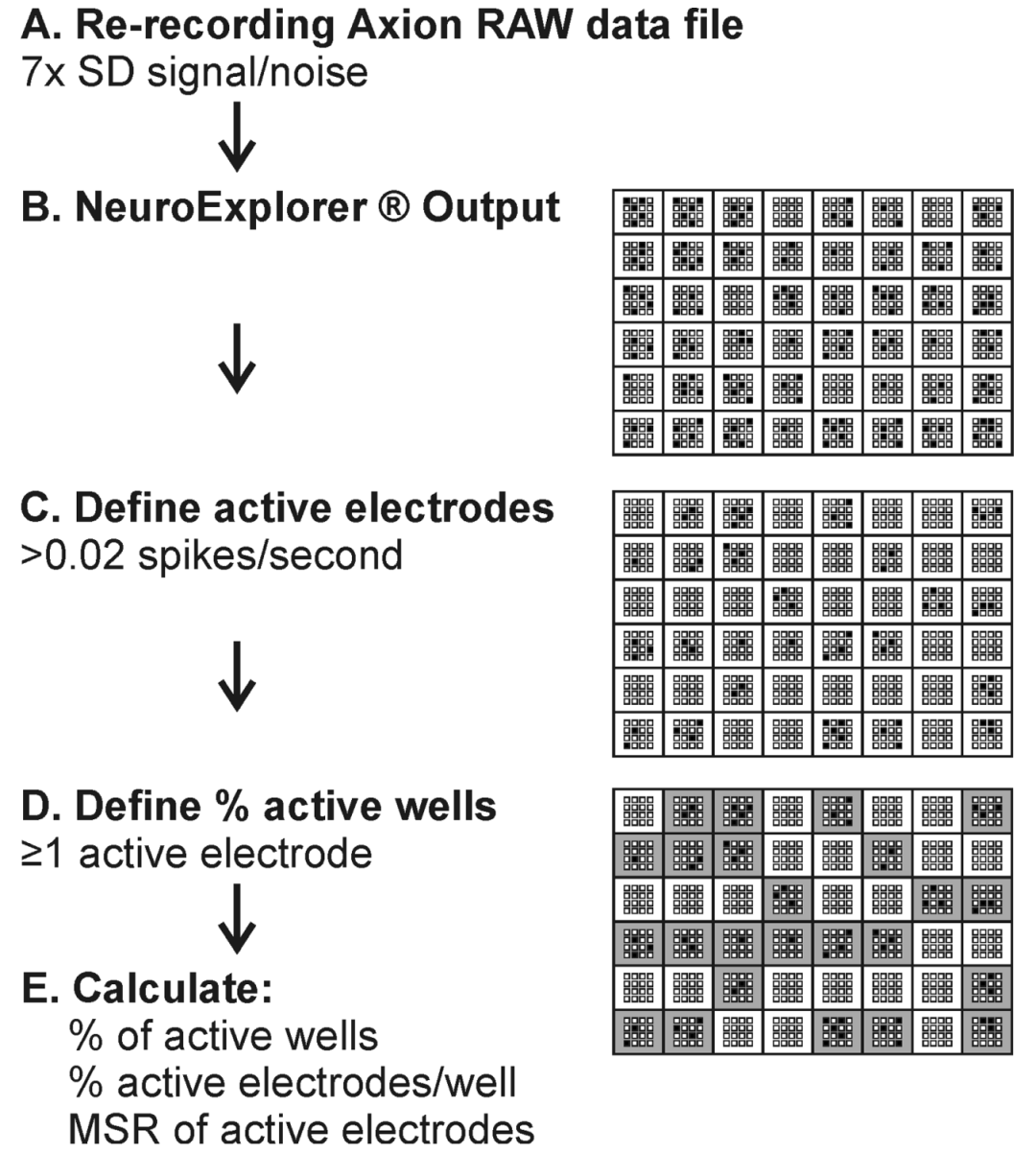 NeuroExplorer软件体外小鼠神经祖细胞分化过程中钙反应和电活动的表征_研究_变化_功能性