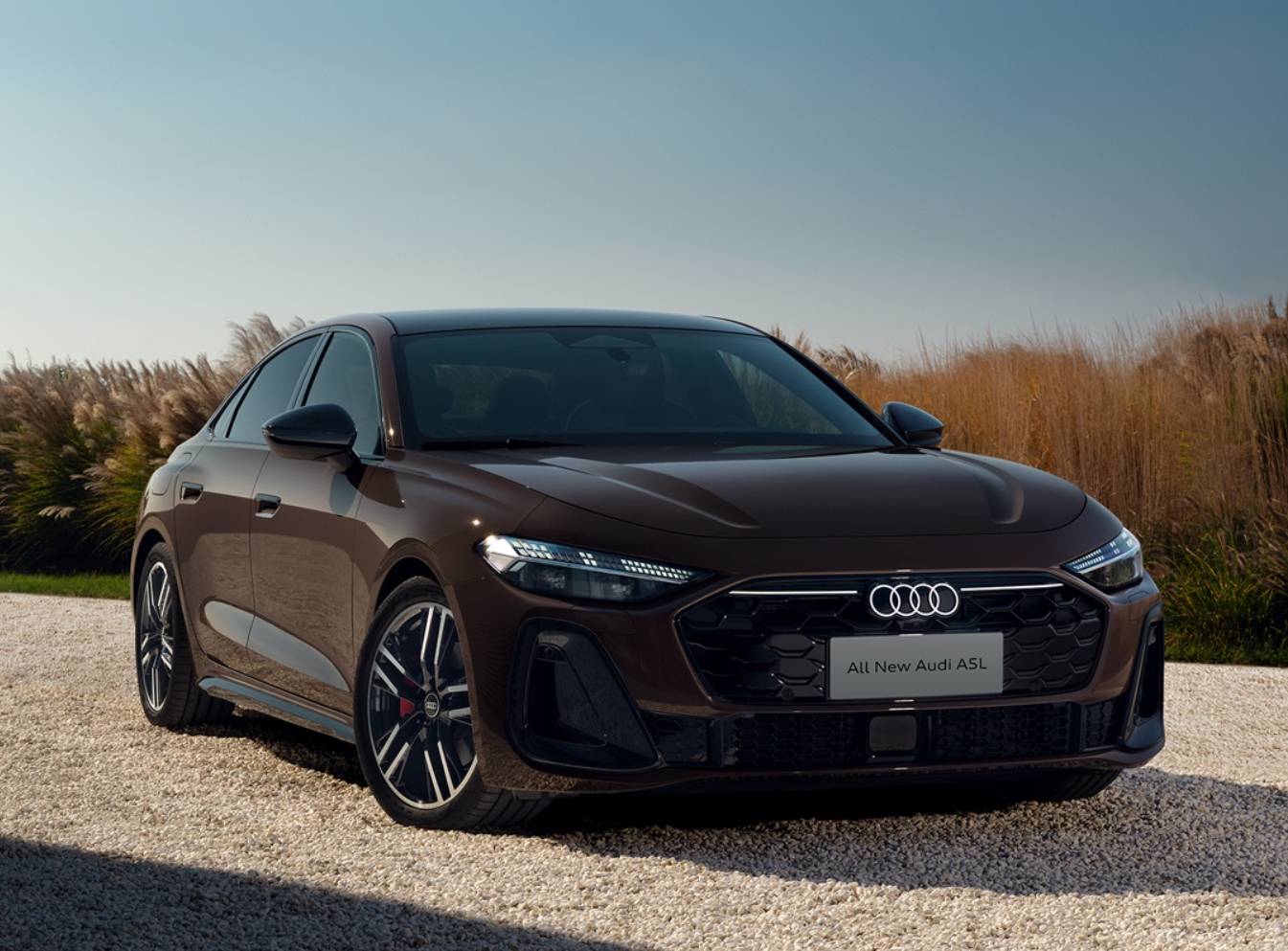 25.68万起 一汽奥迪A5L公布预售价 现款奥迪A4L优惠触底 该选谁？_搜狐汽车_搜狐网