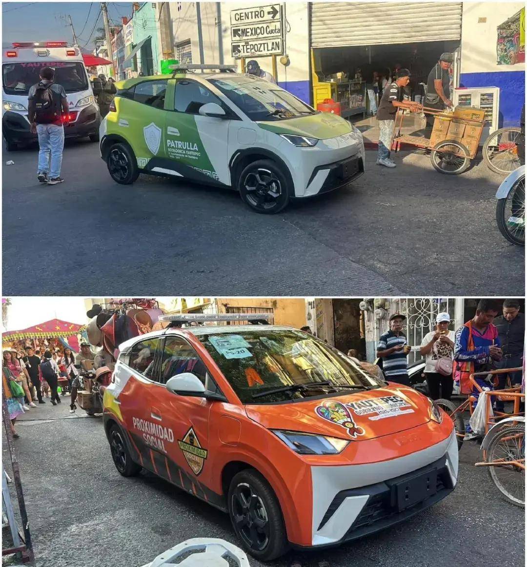 撕开德日垄断堡垒，比亚迪凭什么拿下海外公务车“编制”？_搜狐汽车_搜狐网