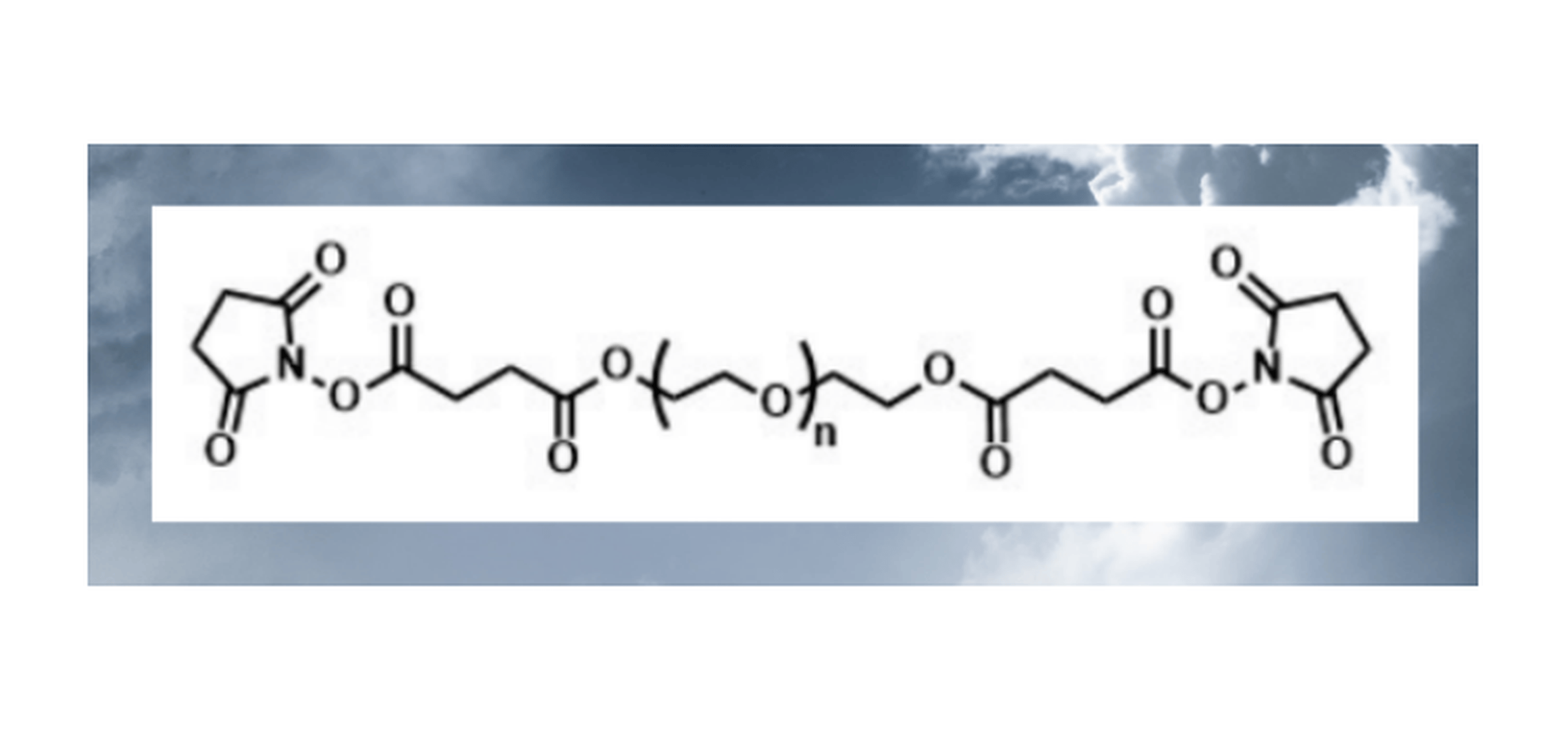 SS-PEG-Succinimidyl Succinate