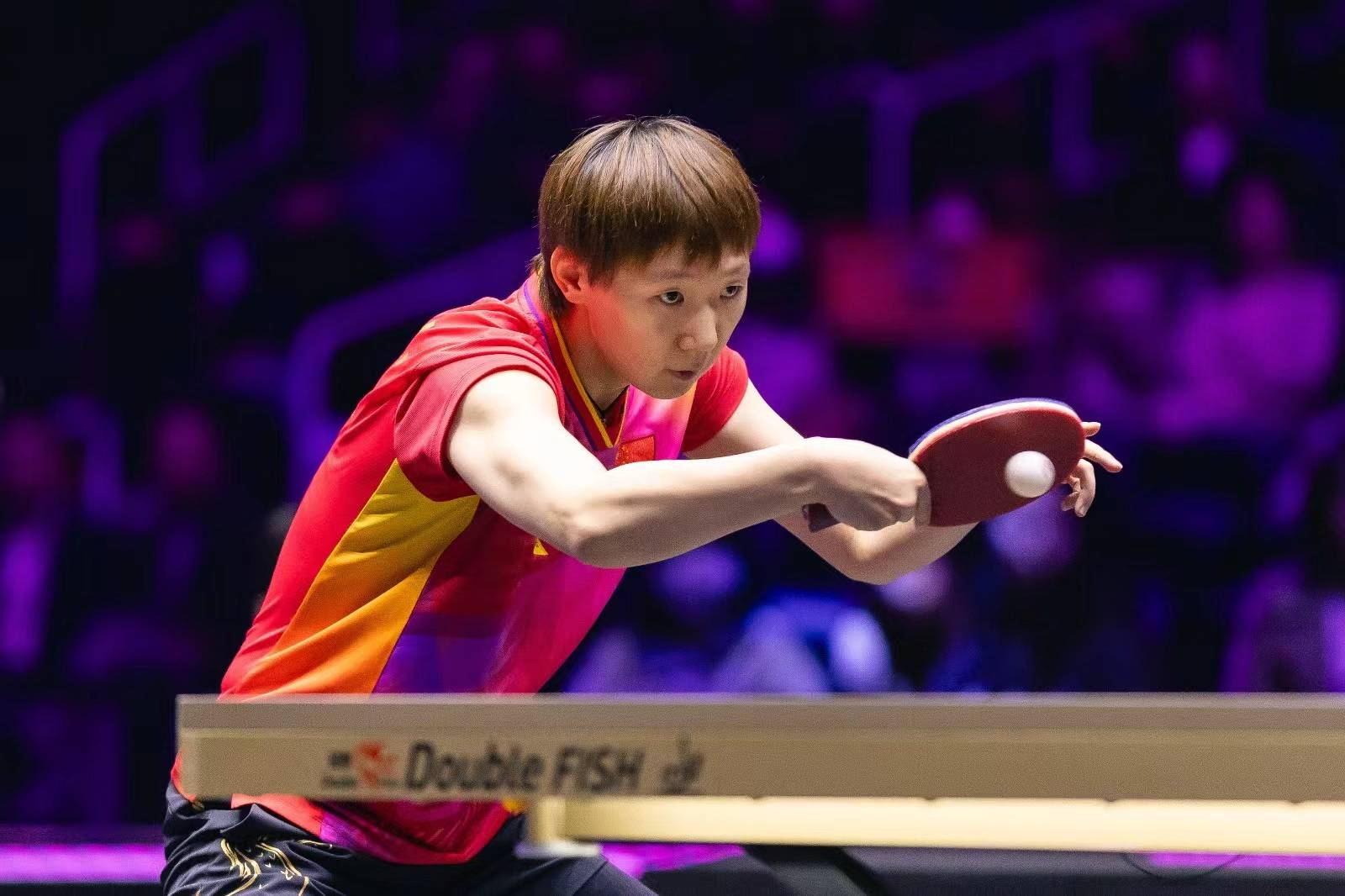 组图：WTT仁川冠军赛2024 孙颖莎4-0王曼昱登顶-搜狐大视野-搜狐新闻