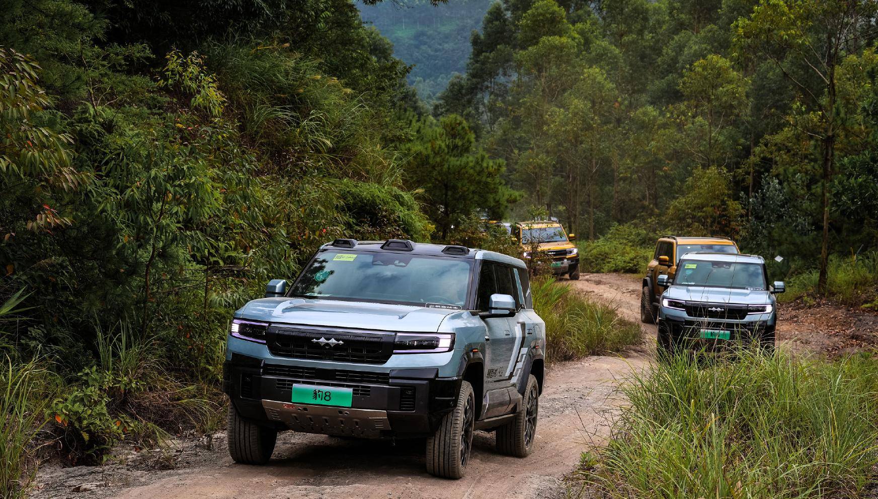 DMO电驱越野+华为智驾，豹8能否在40-50万硬派SUV打开市场？_搜狐汽车_搜狐网