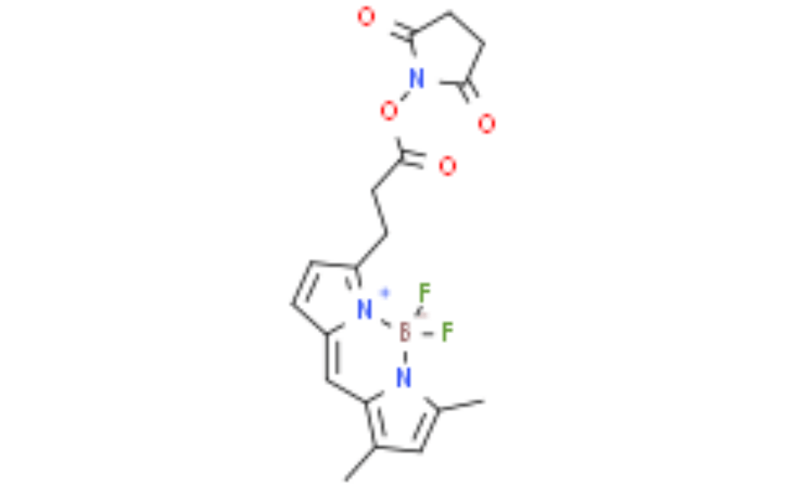 BODIPY FL NHS活化酯：生物科研领域的高效荧光标记试剂_分子式_实验_细胞