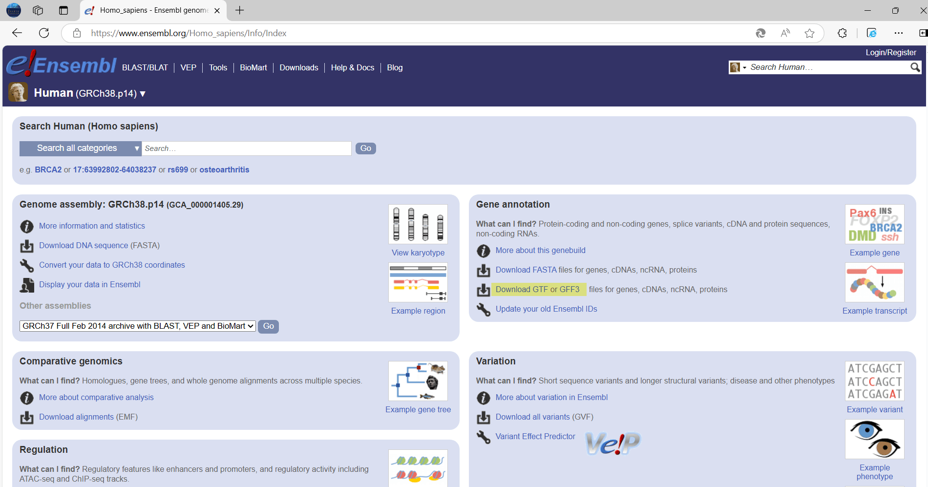 测序公司给的分析报告中为什么没有Ensembl GTF注释版本？_基因_文件_RNA-seq