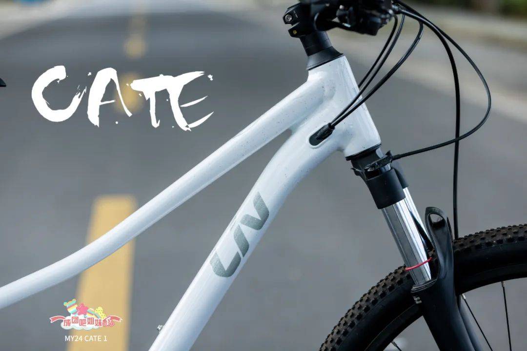 【上新了Liv】经典凯特新升级 | MY24 CATE 1_搜狐汽车_搜狐网