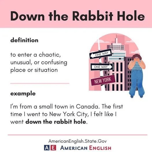 【双语】俗语：Down the Rabbit Hole 掉入了无底洞_兔子_went_world