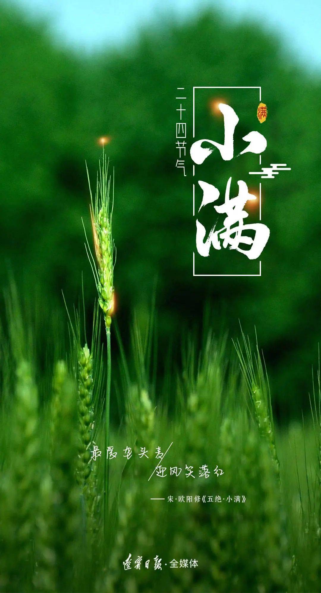 二十四节气丨今日小满 我国 雨水 万物