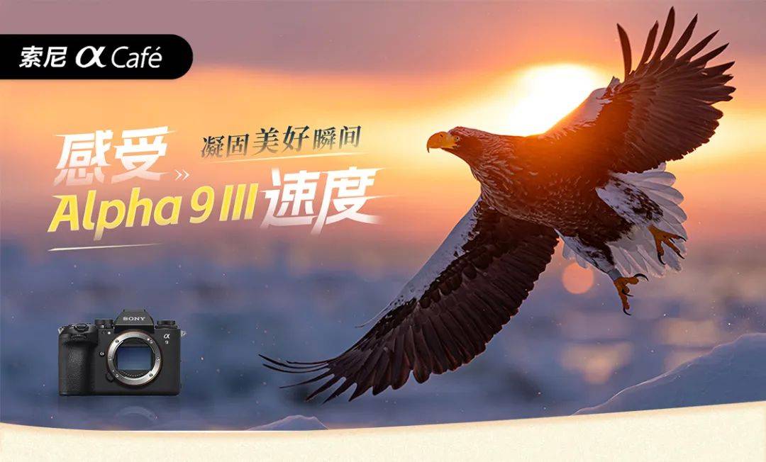 感受Alpha 9 III速度，凝固美好瞬间