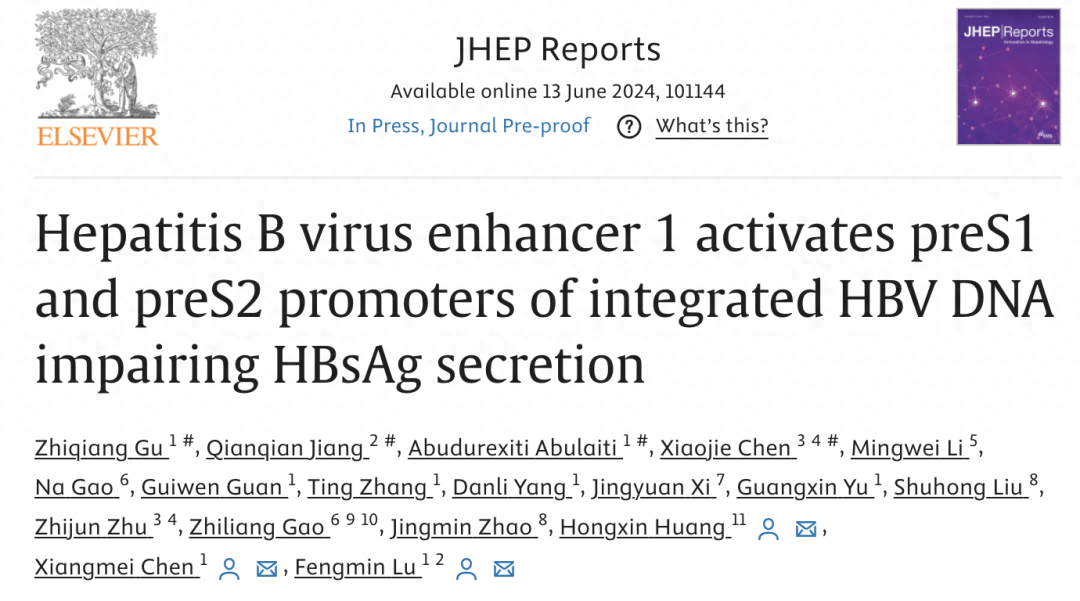 JHEP Reports｜HBV整合来源HBsAg的分泌特征及潜在调控机制_患者_HBeAg_EnhI