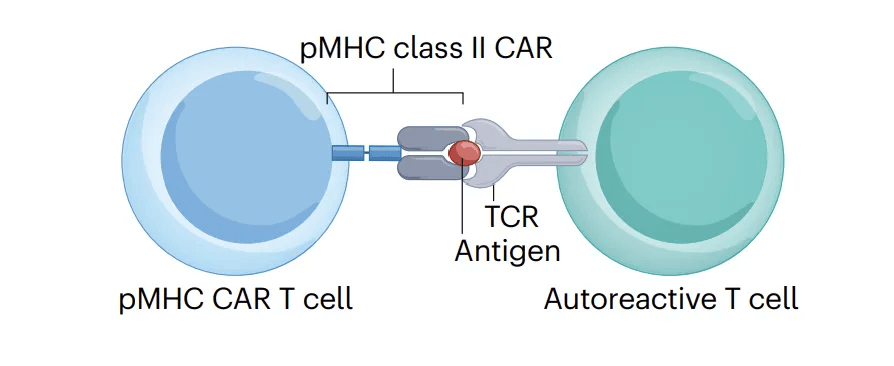 Nat Rev Drug Discov综述 | 自身免疫性疾病：迈向治愈的未来_干细胞_治疗_控制