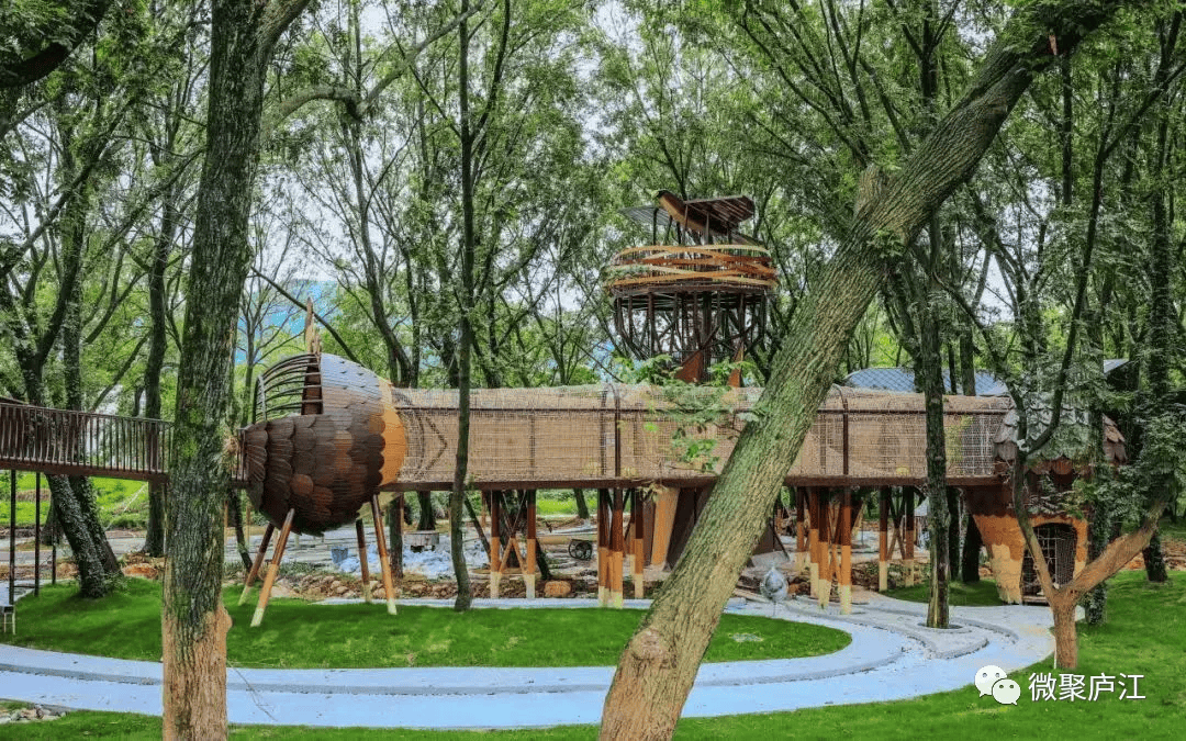 庐江2处列入创建3A级旅游景区预备名单！_长冲_合肥市_乔冲