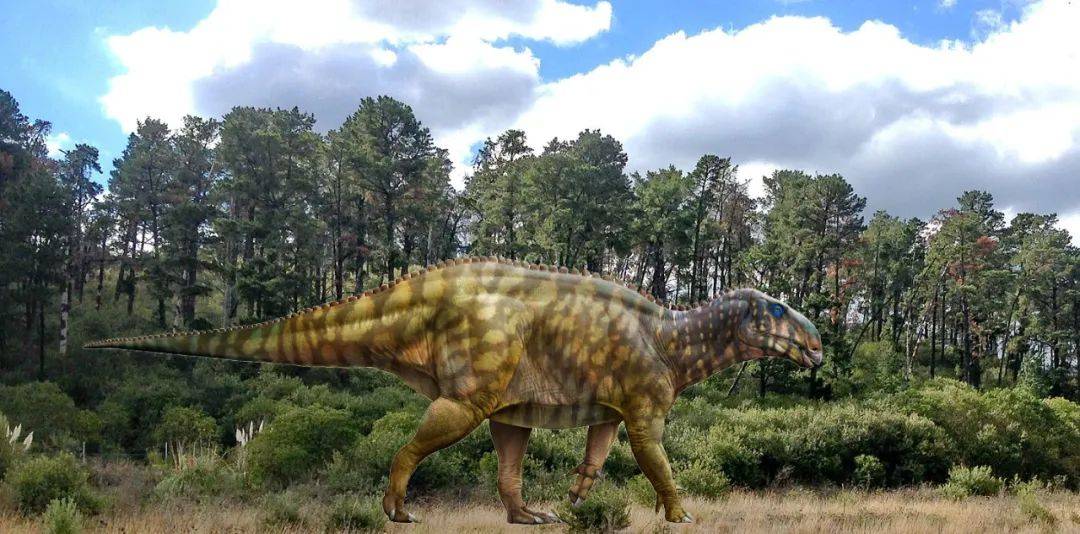 西南地区首个！重庆又添恐龙新属种→_黔江区_长生_化石