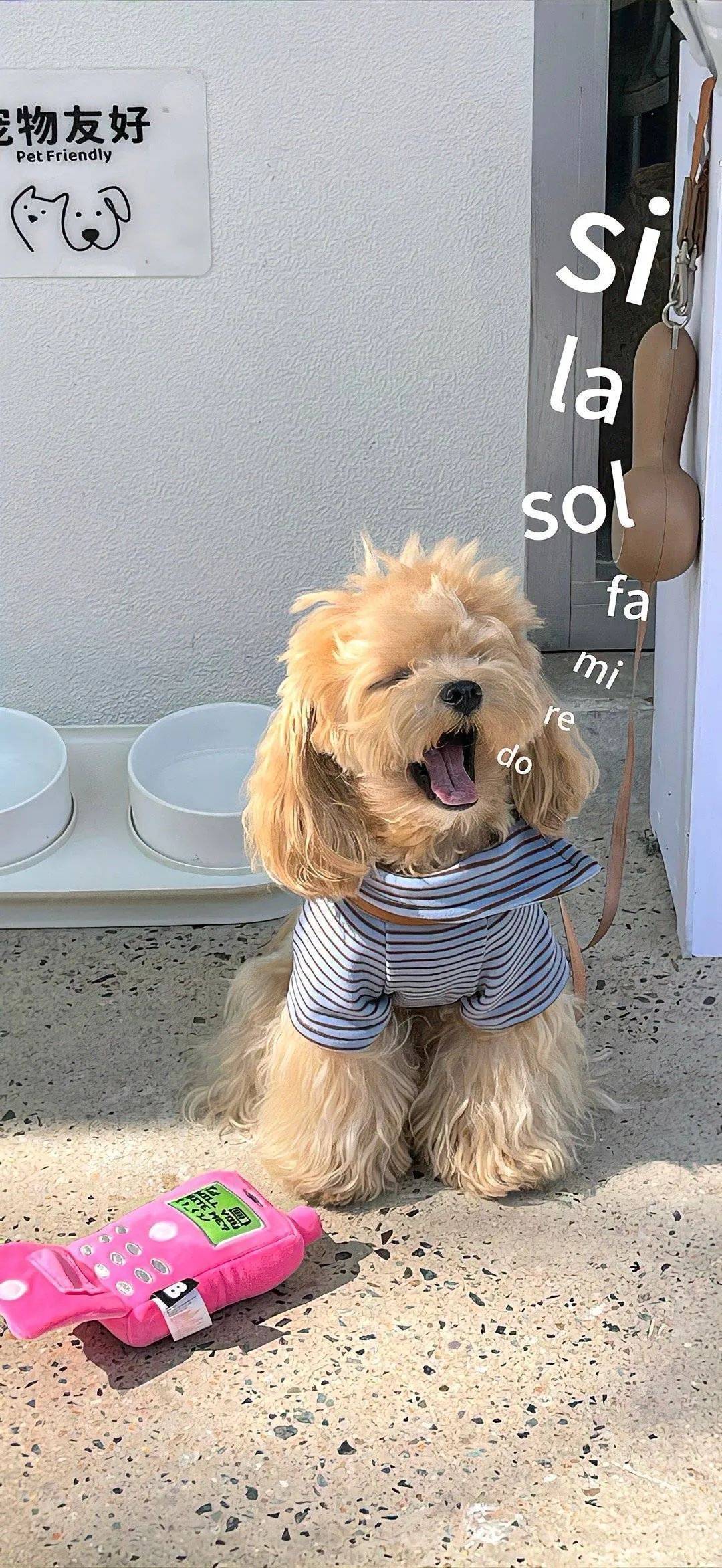 wallpaper 壁纸｜iOS 8K超清壁纸