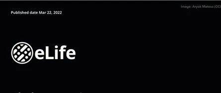 eLife中国投稿量大降50%！_elife_创新中心_科学