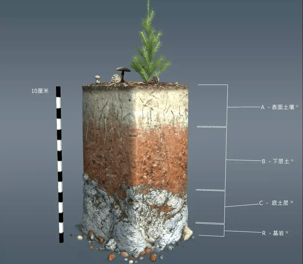 【土壤地理】最完整的土壤知识！全国土壤分布/形成/剖面（图图经典）转发、收藏起来_养分_作用_土粒