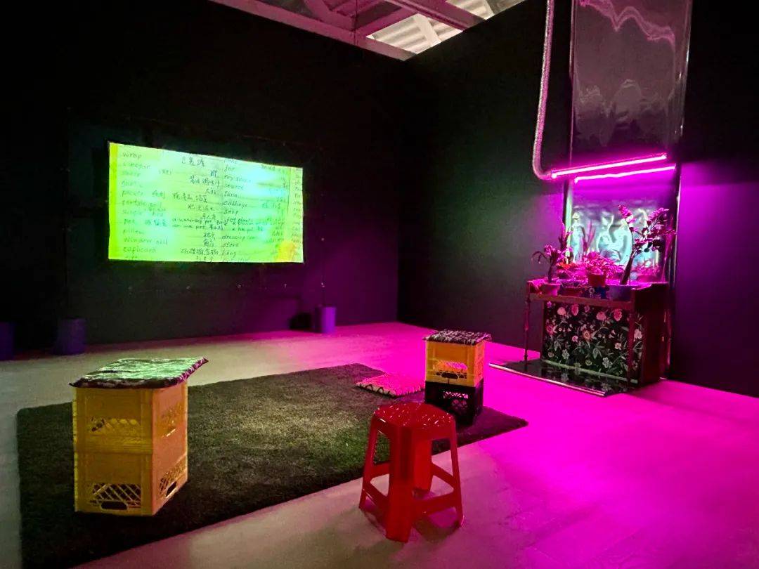 【好去处】Polygon美术馆林德双年展揭幕 华裔Casey Wei入围新锐艺术家奖_黄忆欣_作品_星岛