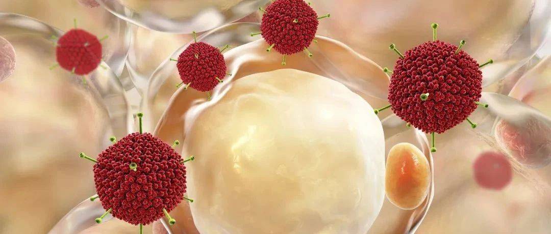 CGT领域蓬勃发展，病毒包装细胞293F守护产品的质量与安全关_疗法_基因_载体