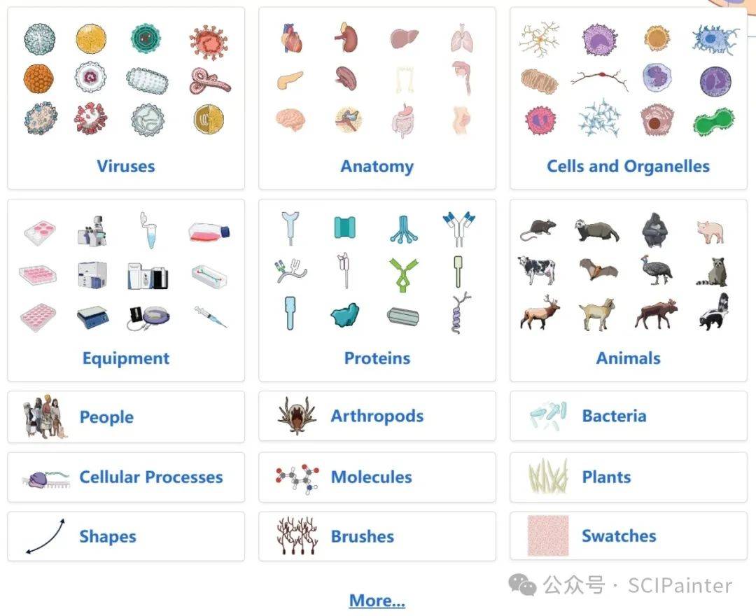 如何轻松完成论文或PPT所需的科研插图？_素材_BioArt_https