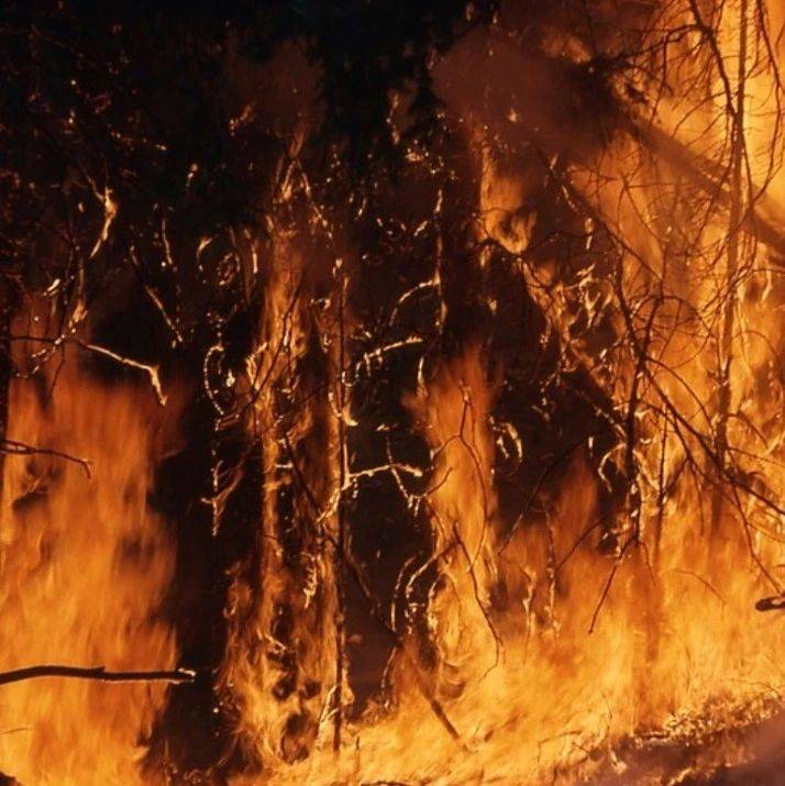 Wildfire in California has destroyed hundreds of structures_homes_days ...