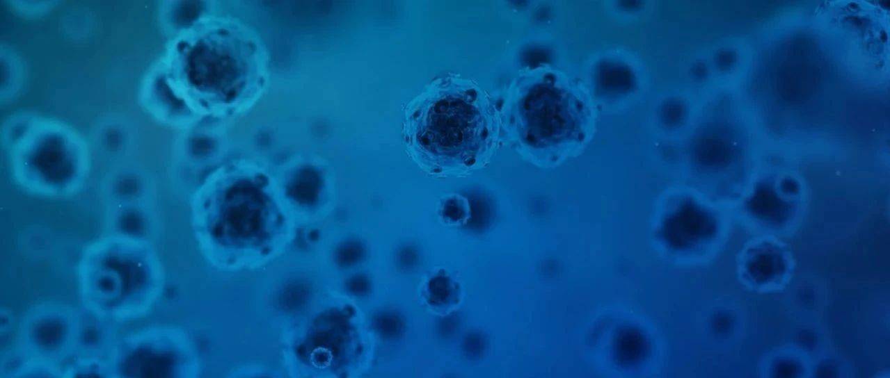 试用申请丨精准防控登革热！华大智造推出ATOPlex登革病毒靶向扩增测序组合产品_样本_结果_平台