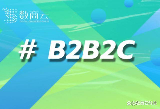 B2B2C软件平台：如何实现企业间无缝对接与高效协作｜数商云_云在_商品和服务_数据