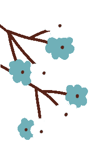 教育资讯 | 美国TIMSS 2023测评结果_年级_科学_数学