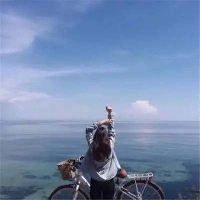 微生物检测用的硝酸纤维素膜，靠谱品牌推荐_Hi-Flow_Plus_侧向