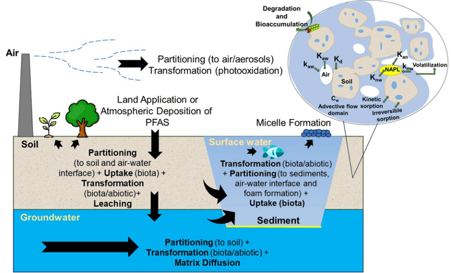 综述 | 探索PFAS污染治理：生物修复技术的最新进展_环境_系统_研究进展