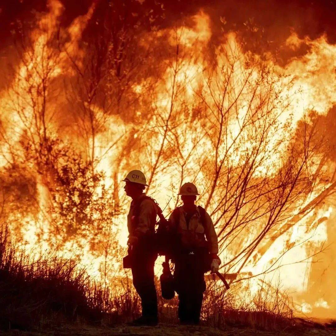 最新! 南加野火肆虐, 烧毁1w+建筑、至少10人丧生…_Fire_版权_Times