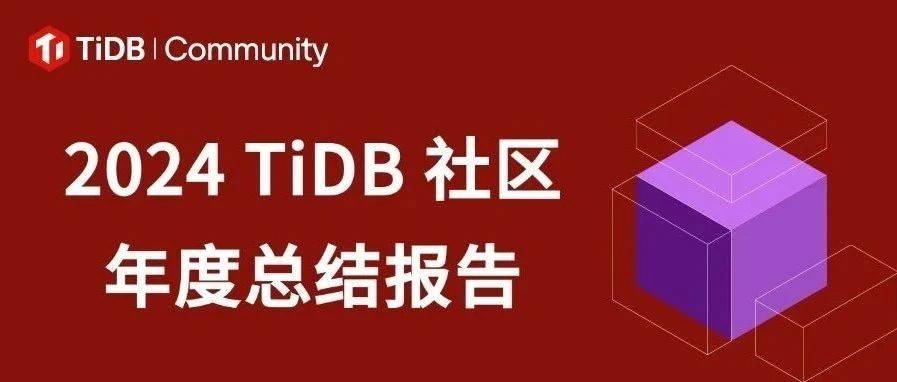 2024 TiDB社区年度总结报告新鲜出炉！又携手共进了一年，2025年，一起迎接变化，挑战变化！_小伙伴_TiDBer_贡献