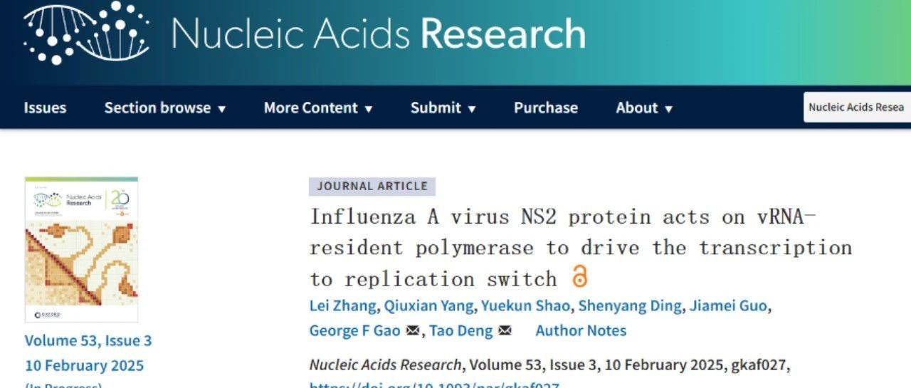 Nucleic Acids Research｜邓涛/高福团队合作揭示甲型流感病毒NS2蛋白驱动病毒RNA由转录向复制转换作用机制_微生物研究所_合成_调控