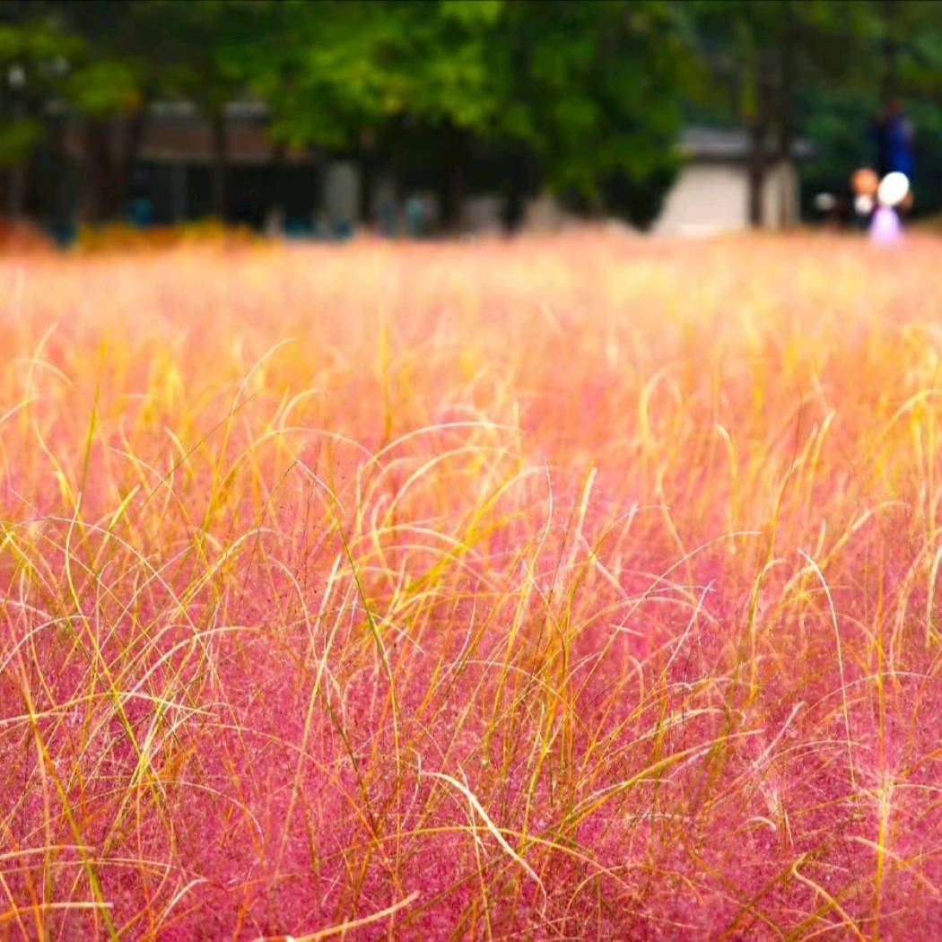 基础化工行业AI系列深度：AI服务器大拆解，架起材料“军火库”_芯片_NVLink_NVSwitch