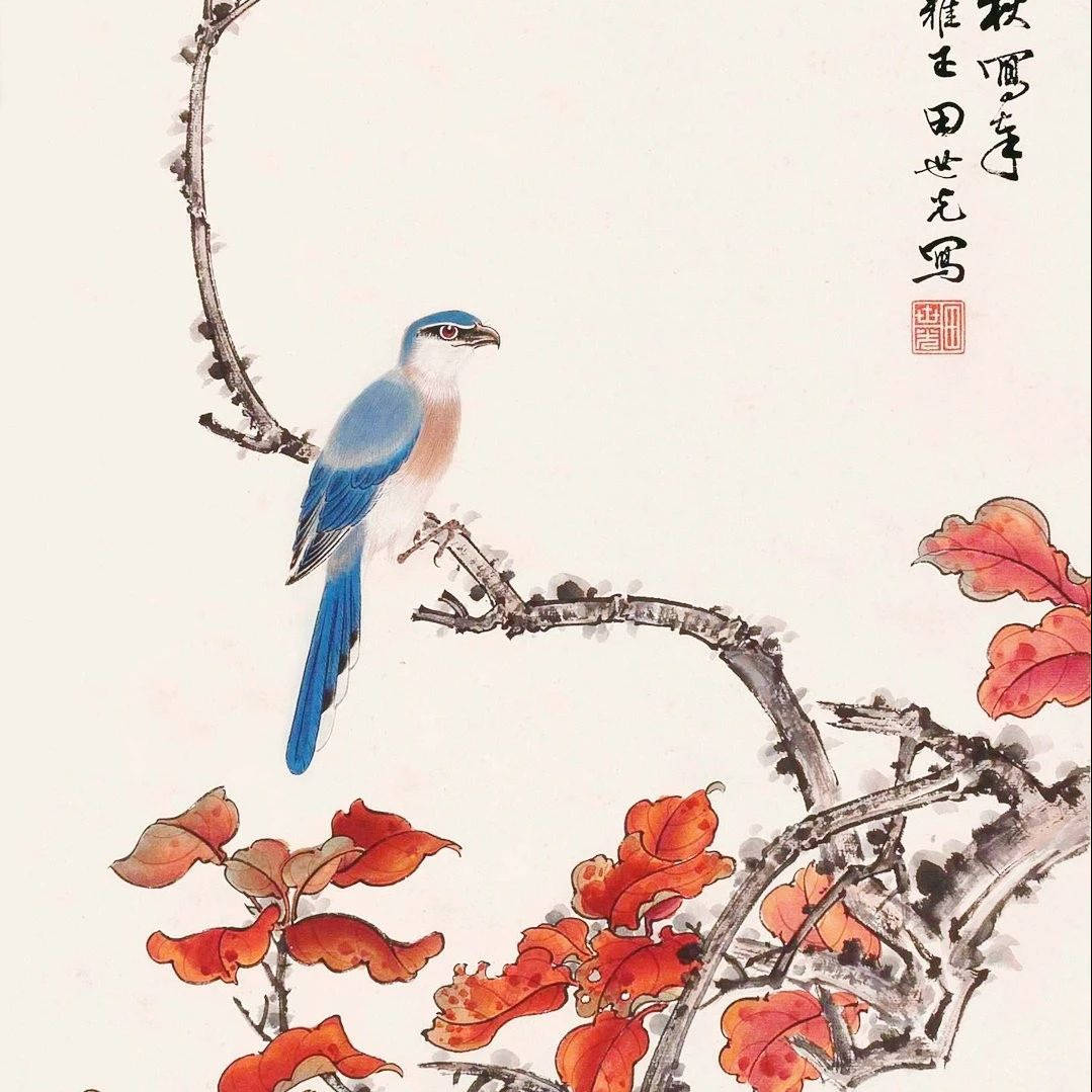 死亡之旅丨特大空难 之 韩航801号航班毁灭_飞机