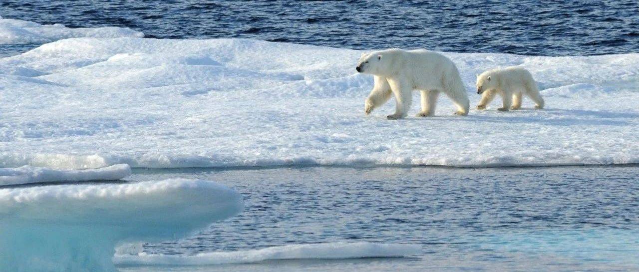 极地漫游者 | 零下40℃的温暖！破冰船里泡温泉，北极熊都羡慕哭了，把北极玩成「懒人高配版」_冰川_庞洛_古号