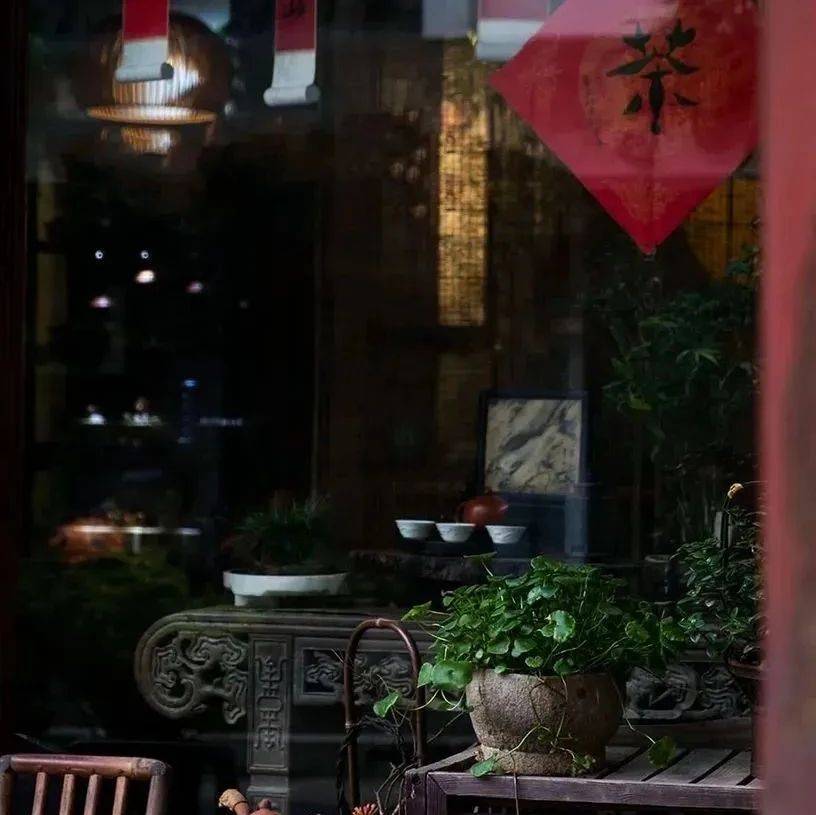 卧听啼鸟，兰气芬馥_腊梅_苏斋_世界