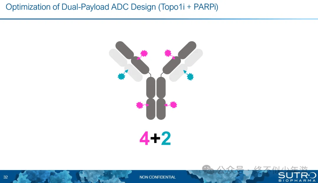AACR上的双payload ADC汇总_Araris_Nectin-_to