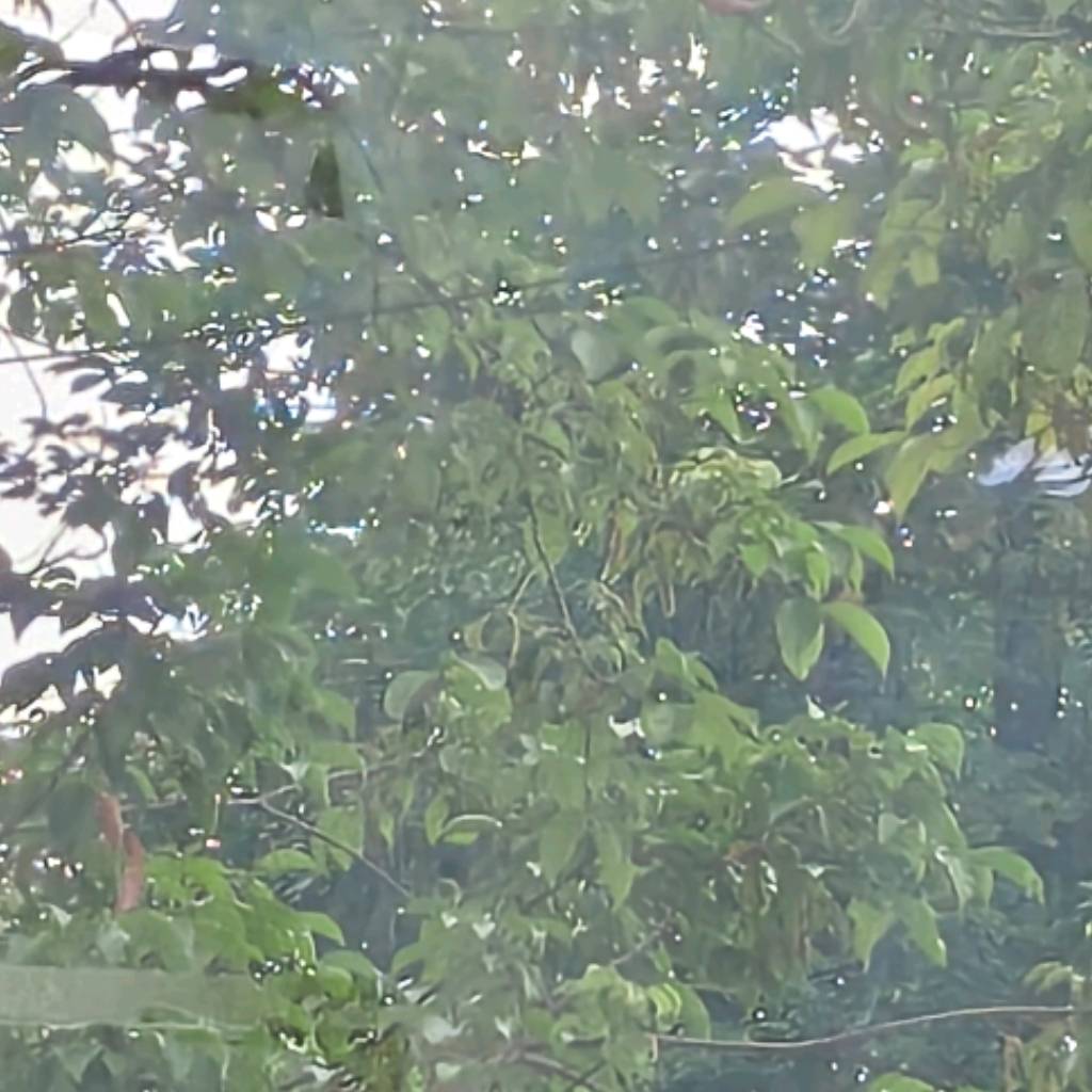 CCTV5直播亚洲杯预选赛首轮：中国VS巴林，期待U17国足首战首胜！_邝兆镭_金昱_体育场