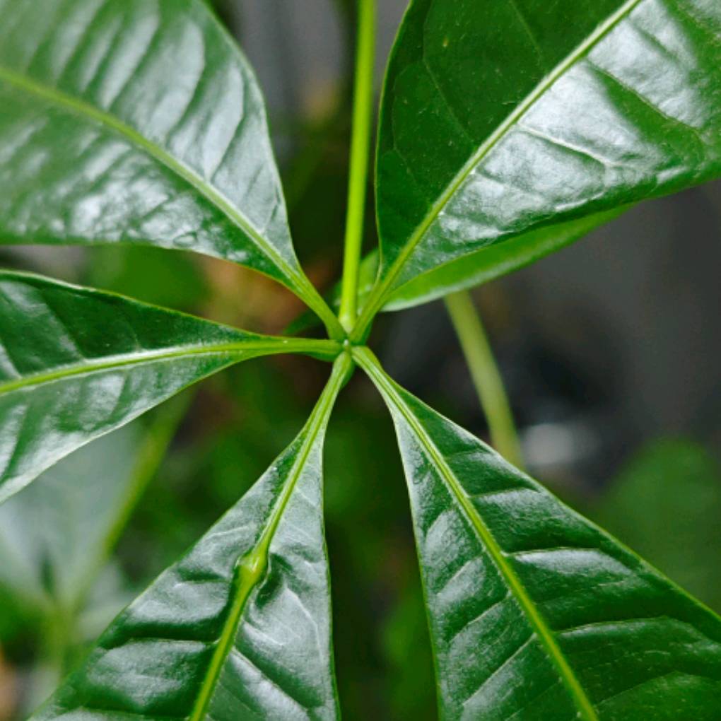 日本人抗议无效，家长举报被驳回，电影《731》7月31日上映_历史事实_部队_影片