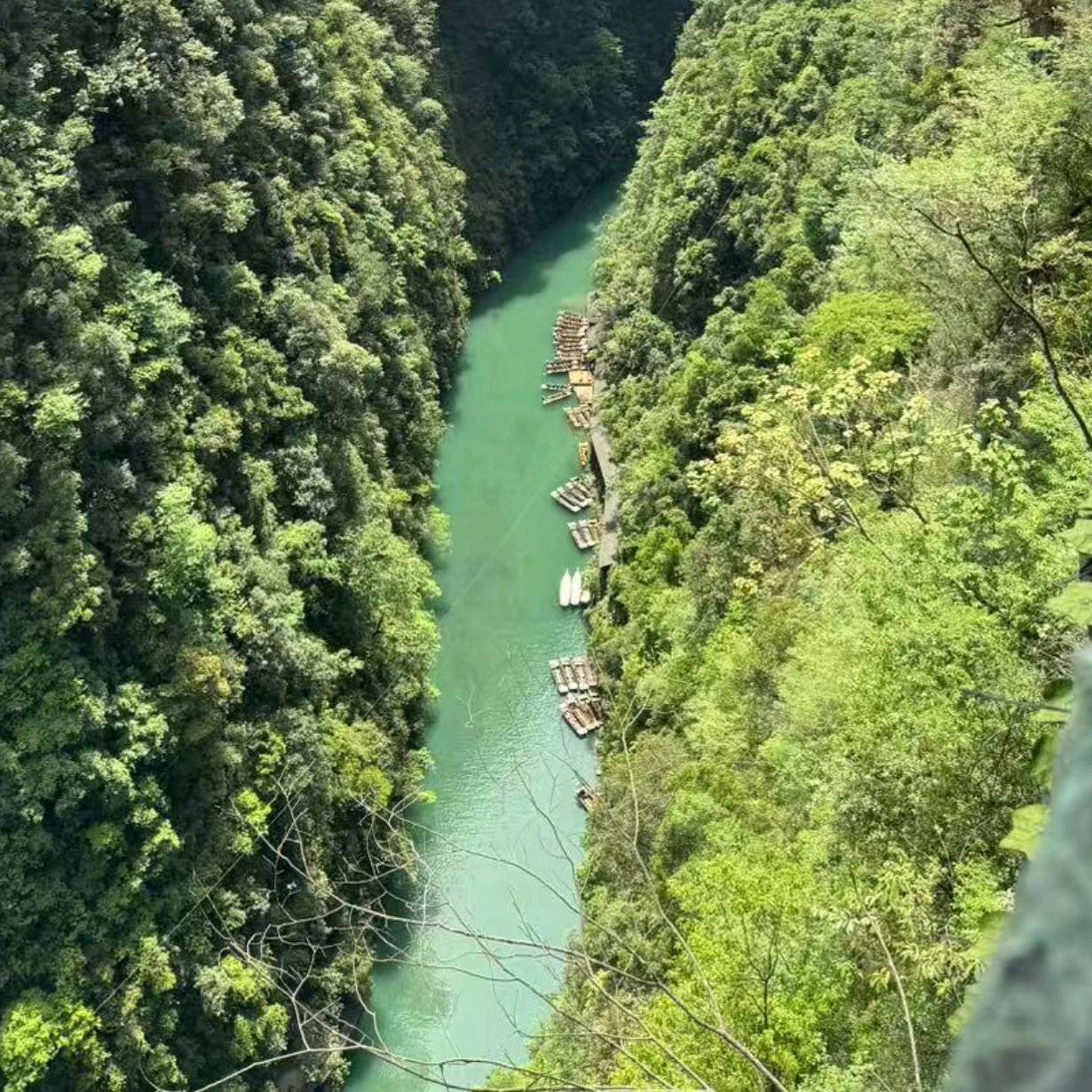 周日008 瑞超：佐加顿斯VS哈马比 赛事分析及比分预测_概率_后防线_主场